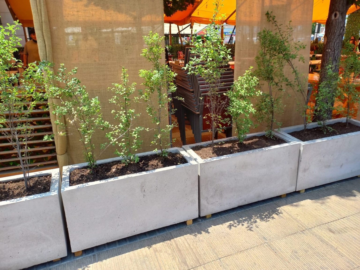 Jardinera de Cemento - Paisajismo La Isla - Maceteros - Jardineras - Arbustos.