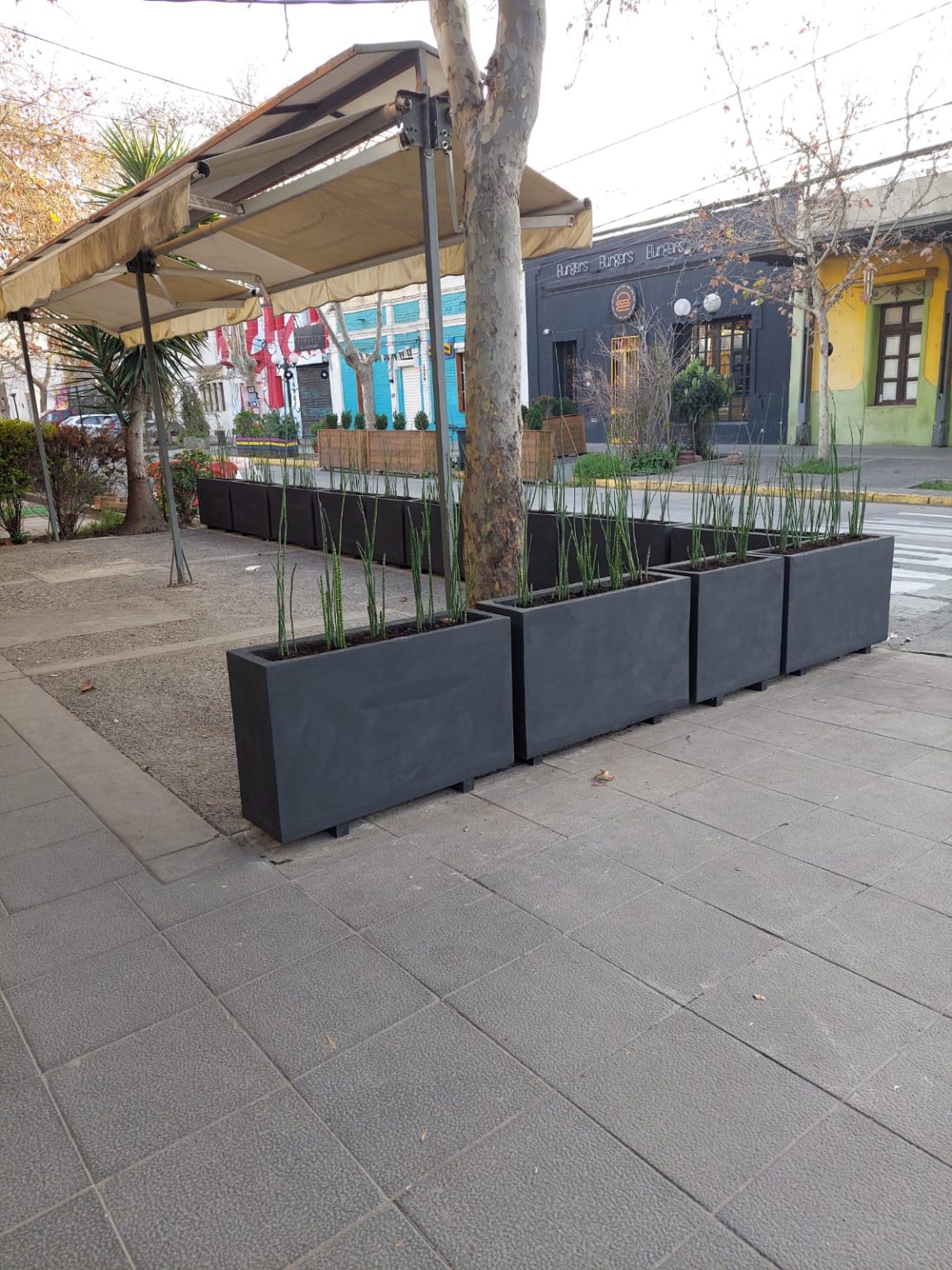 Jardinera de Cemento - Paisajismo La Isla - Maceteros - Jardineras - Arbustos.