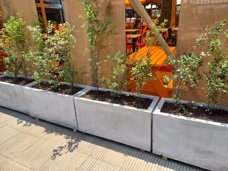 Jardinera de Cemento - Paisajismo La Isla - Maceteros - Jardineras - Arbustos.