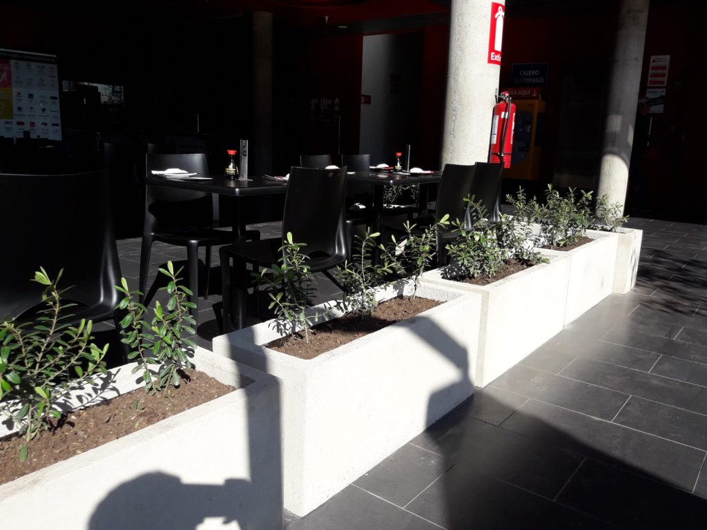 Jardinera de Cemento - Paisajismo La Isla - Maceteros - Jardineras - Arbustos.