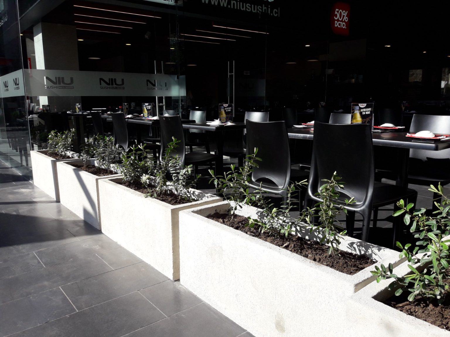 Jardinera de Cemento - Paisajismo La Isla - Maceteros - Jardineras - Arbustos.