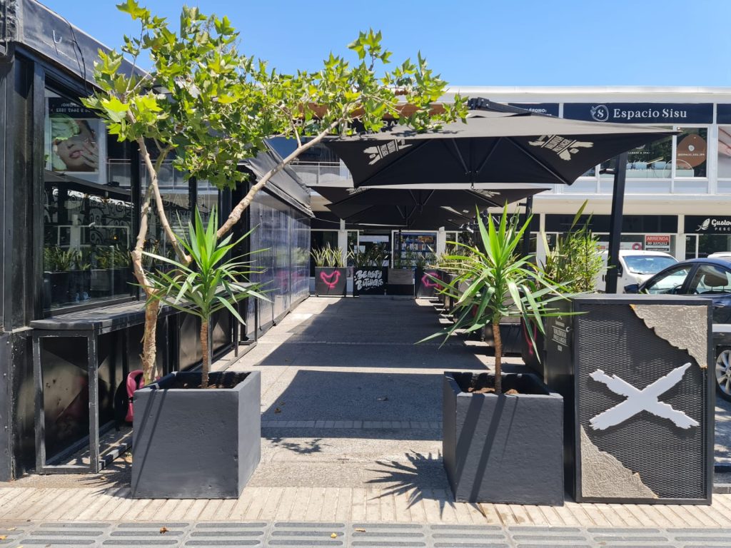 Macetero Cubo de Cemento - Paisajismo La Isla - Maceteros - Jardineras - Arbustos.