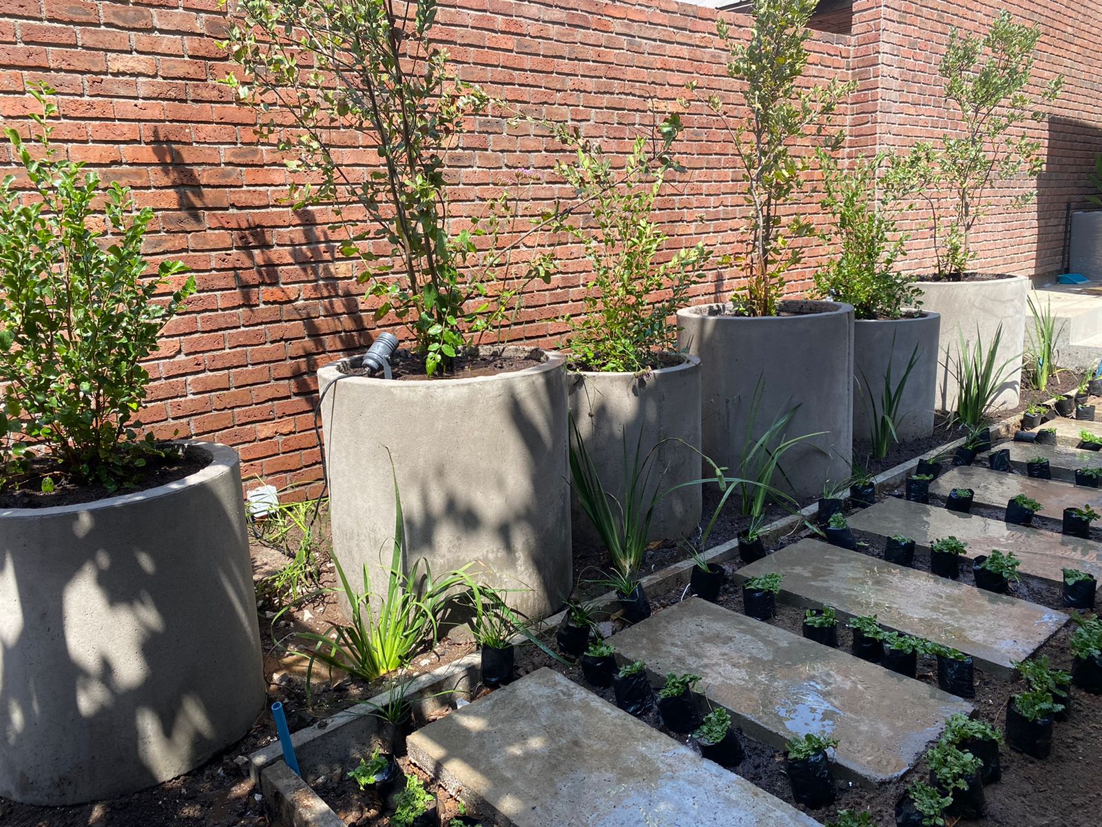 Macetero Cilindro de Cemento - Paisajismo La Isla - Macetas, Jardineras, Arbustos.