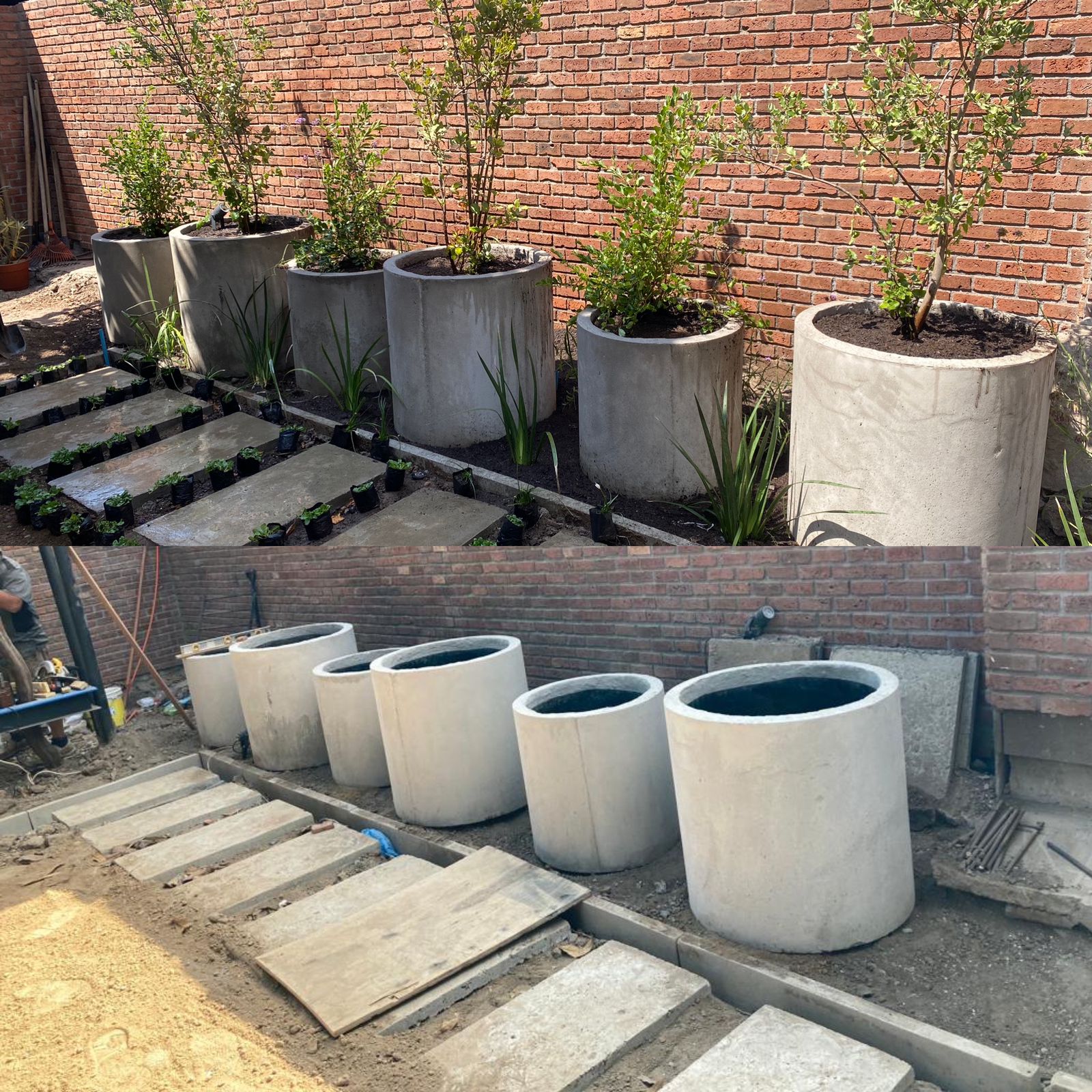 Macetero Cilindro de Cemento - Paisajismo La Isla - Macetas, Jardineras, Arbustos.