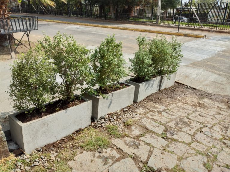 Jardinera de Cemento - Paisajismo La Isla - Maceteros - Jardineras - Arbustos.