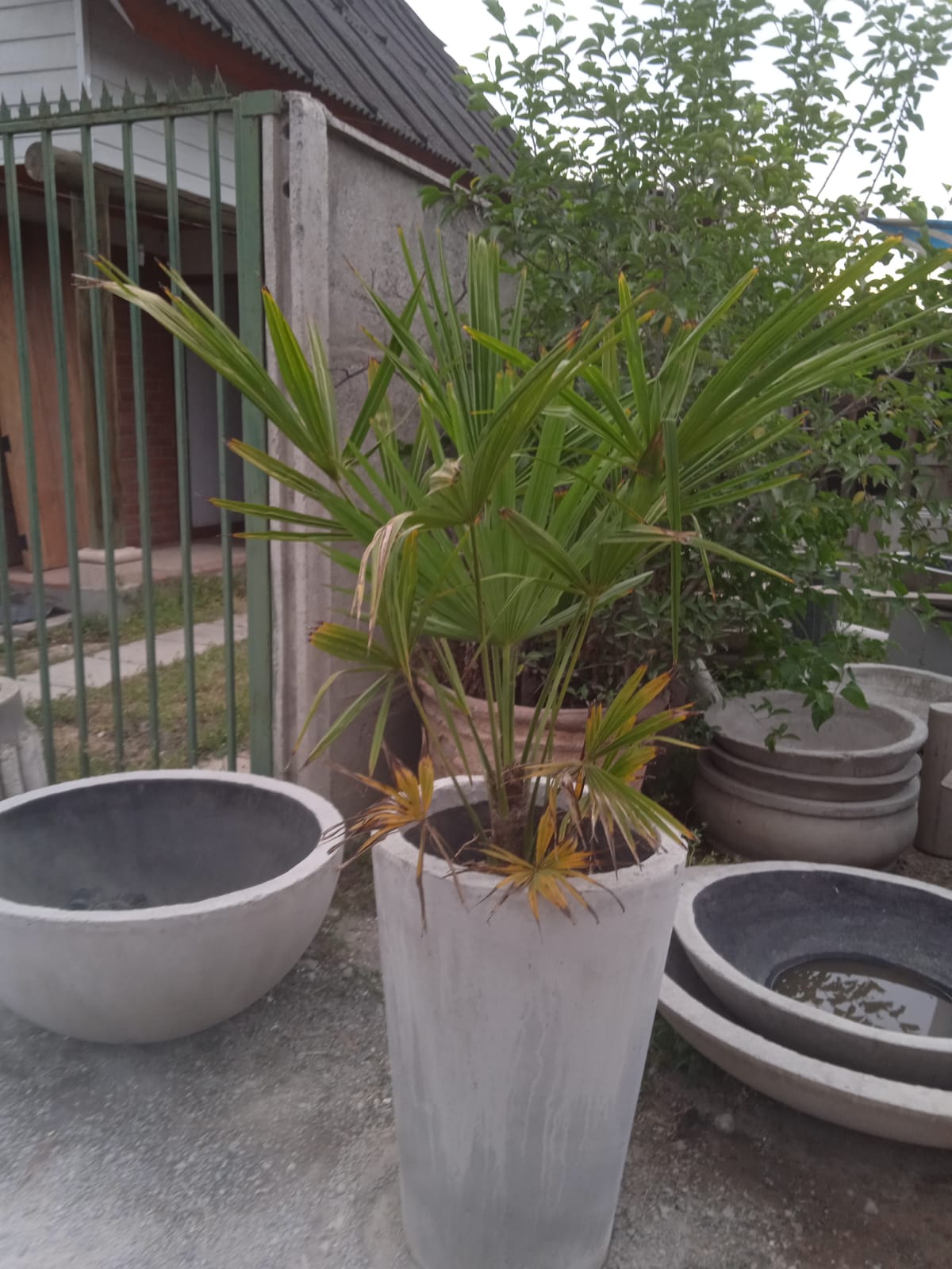 Macetero Cono de Cemento - Paisajismo La Isla - Macetas, Jardineras ...